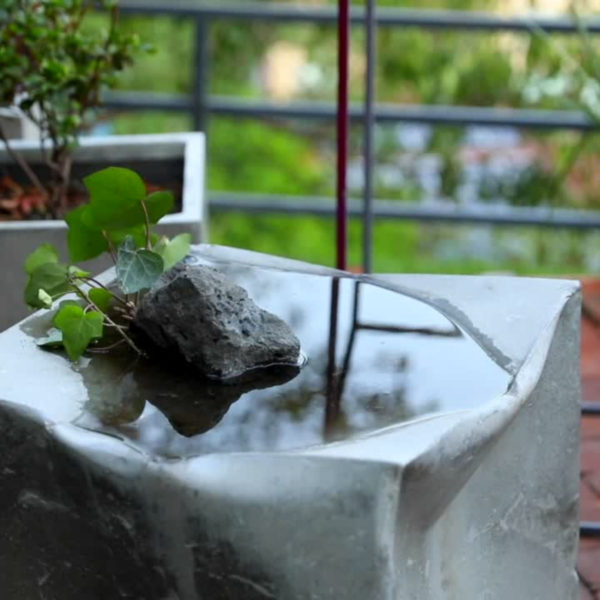 Renacimiento de la tierra – Rokam